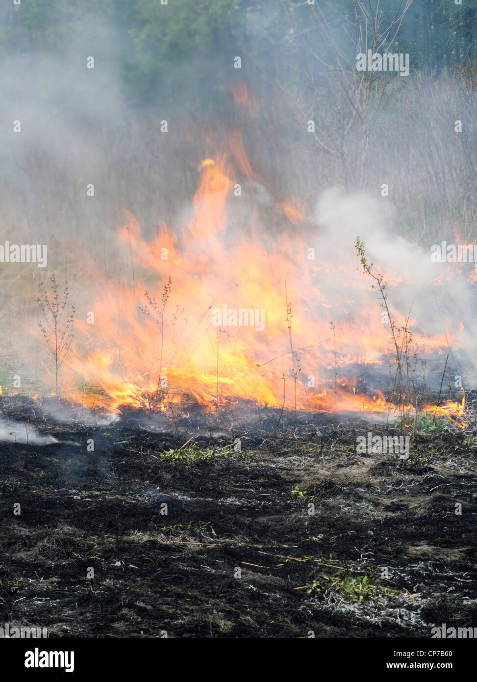 Prescribed fire training hi-res stock photography and images - Alamy