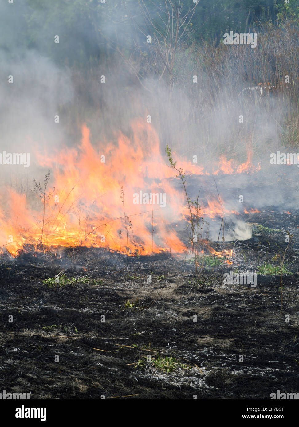Prescribed prairie burn at the University of Wisconsin Arboretum ...