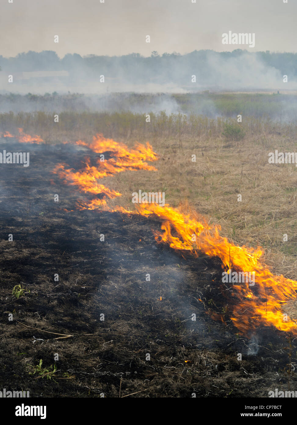 Prescribed prairie burn at the University of Wisconsin Arboretum ...