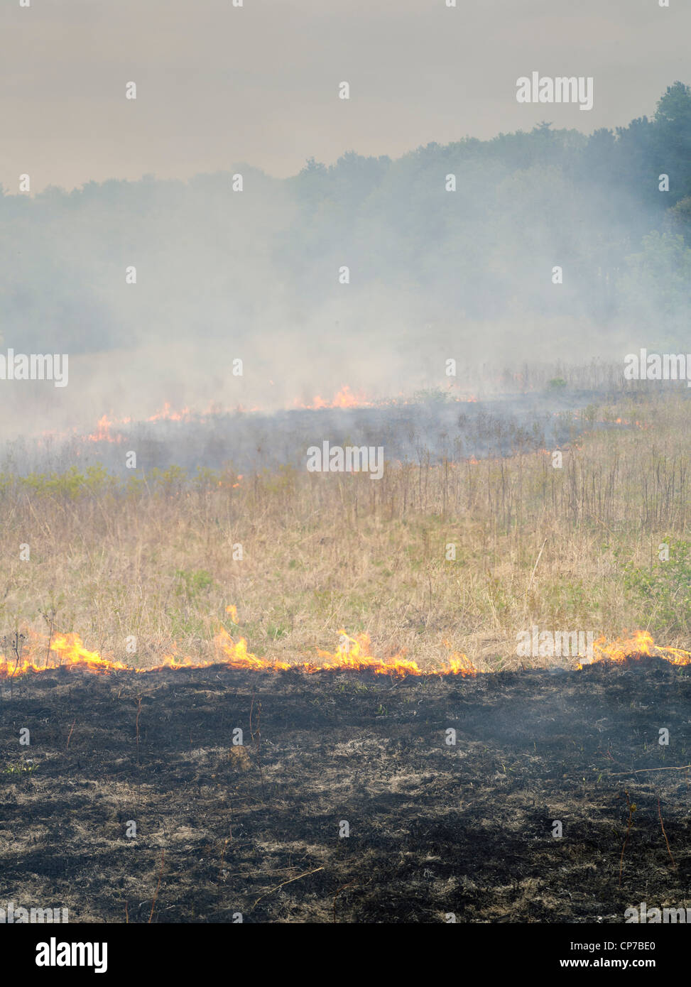 Prescribed prairie burn at the University of Wisconsin Arboretum ...