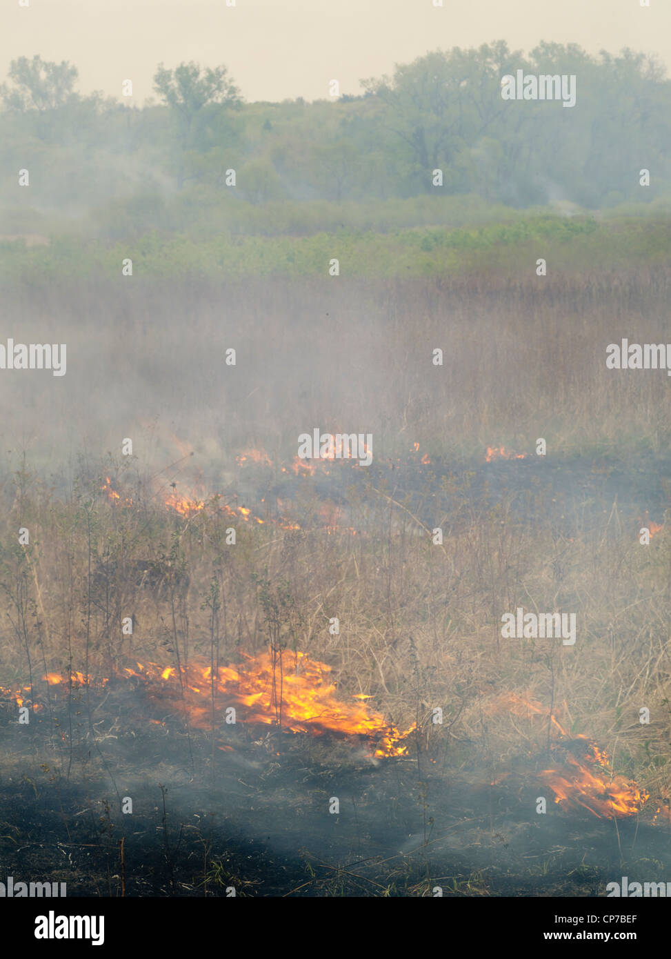Prescribed prairie burn at the University of Wisconsin Arboretum ...