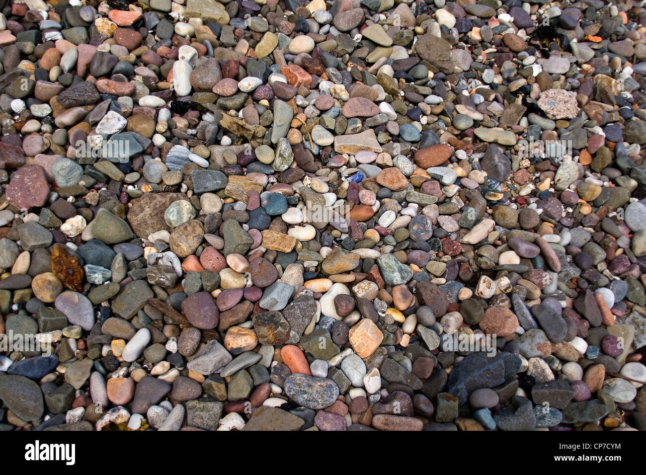 Colourful pebbles at Broughty Ferry Beach in Dundee,UK Stock Photo - Alamy