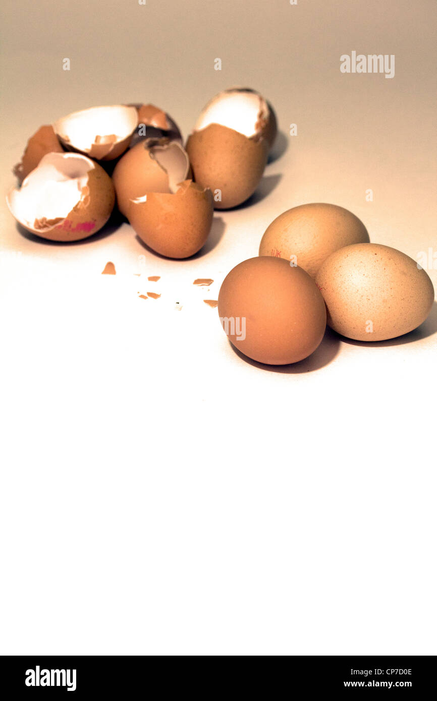 White egg shells hi-res stock photography and images - Alamy