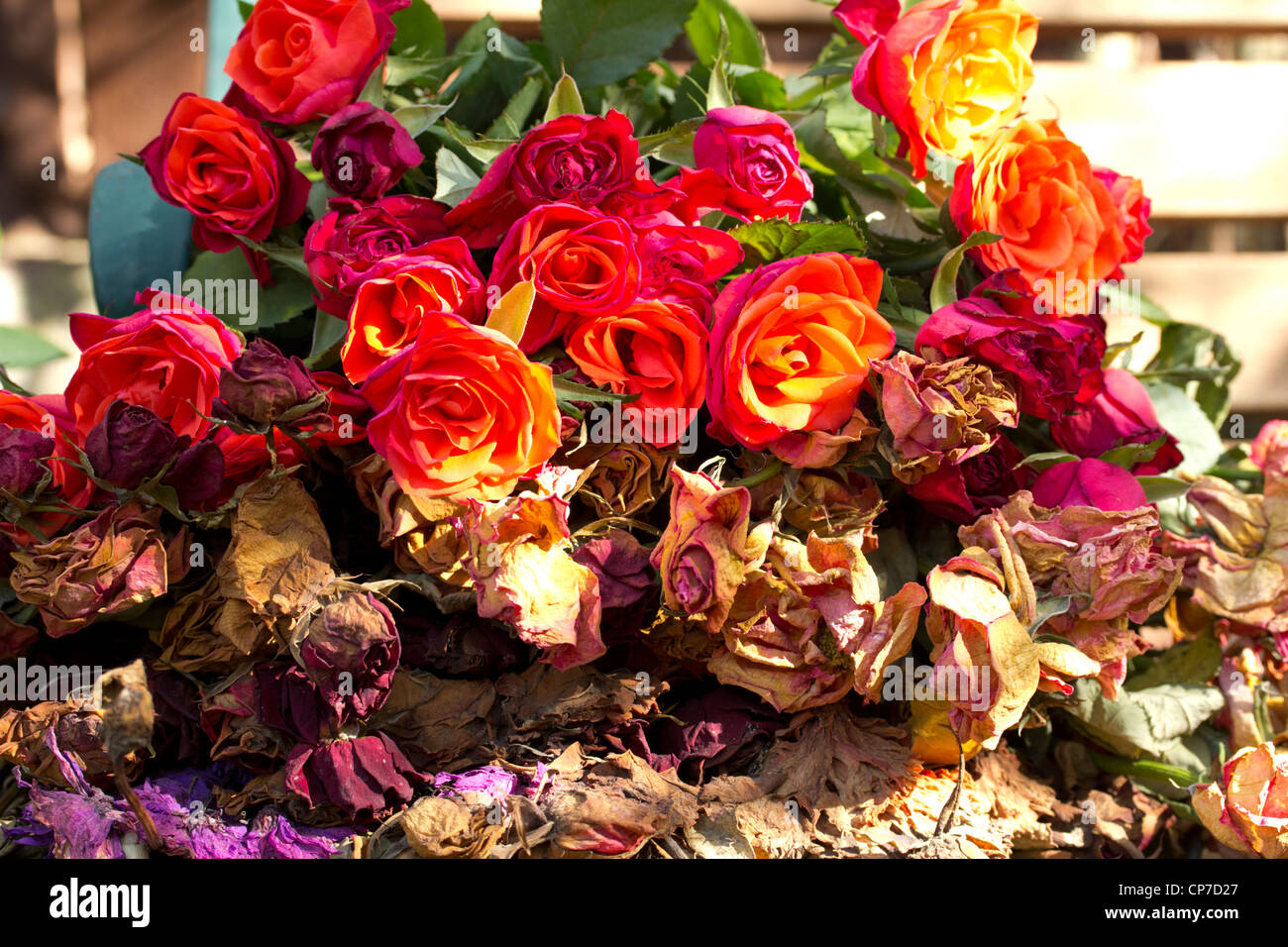 Rotten flowers hi-res stock photography and images - Alamy