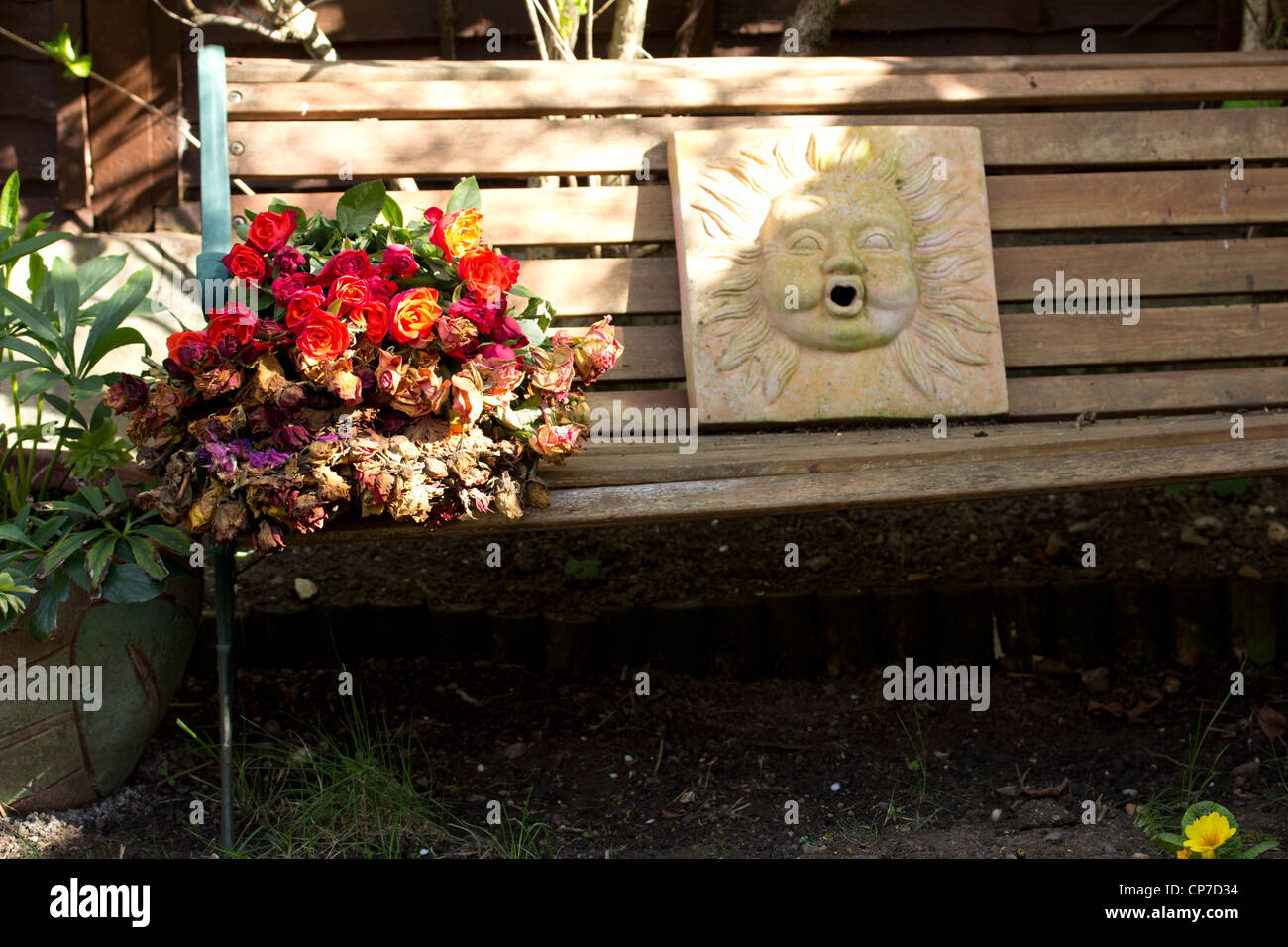 Rotten bench hi-res stock photography and images - Alamy