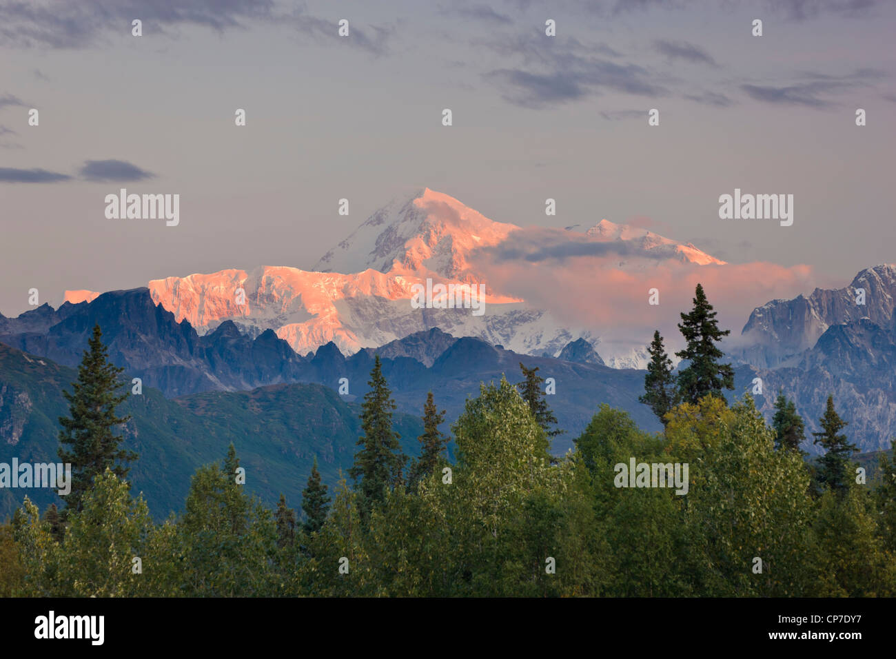 Sunrise alpenglow lights up Mount McKinley and the Moose's Tooth, seen ...