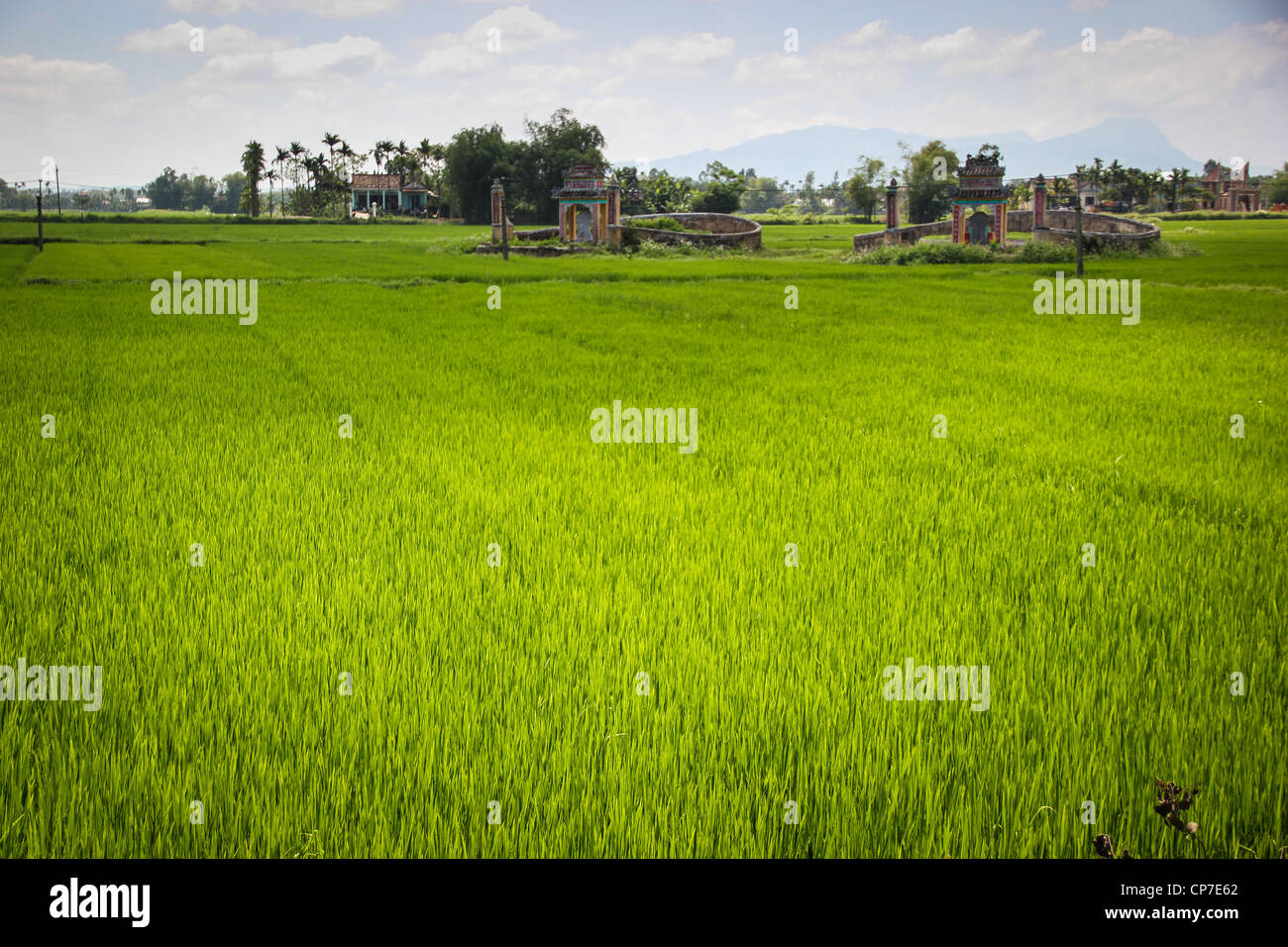 Ancient tombs on the rice fields in Central Vietnam Stock Photo - Alamy