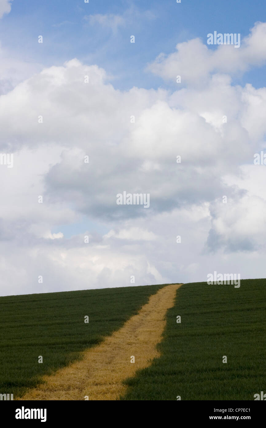 English Countryside Open Field with Blue Sky Stock Photo - Alamy