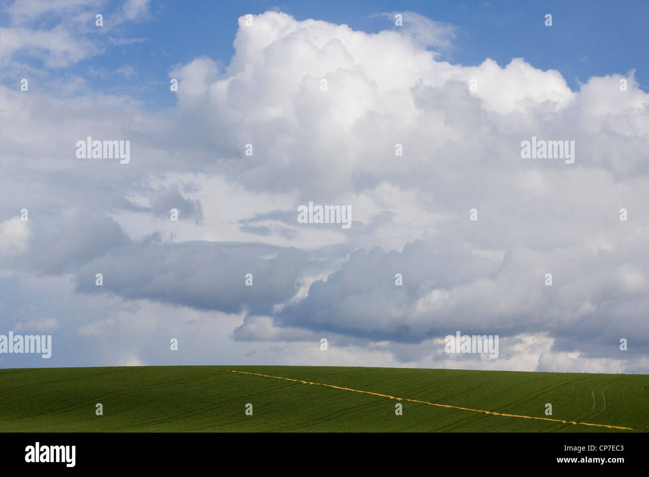 English Countryside Open Field with Blue Sky Stock Photo - Alamy