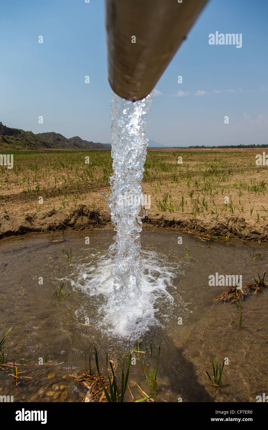 Irrigation Manual Of Orders Punjab Pakistan at Skye Fishbourne blog