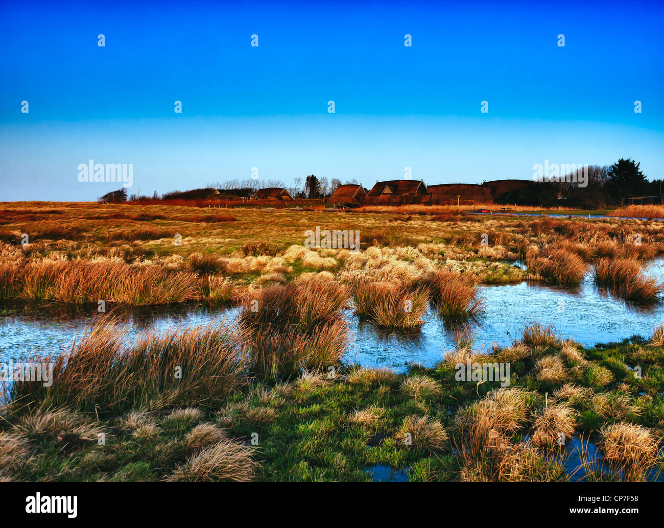 Traditional old Viking Age houses in Bork village, Denmark Stock Photo ...