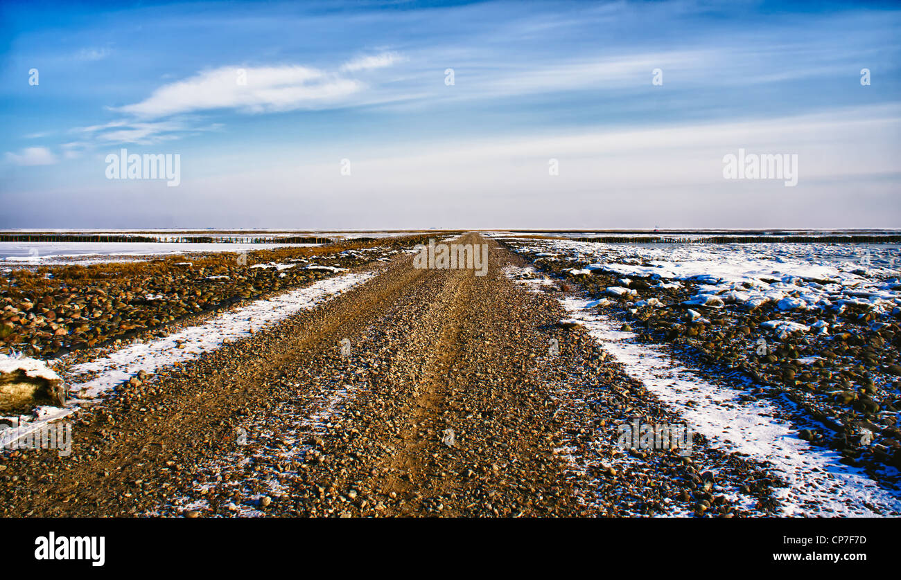 Wadden sea road to the island Mando, Denmark Stock Photo - Alamy