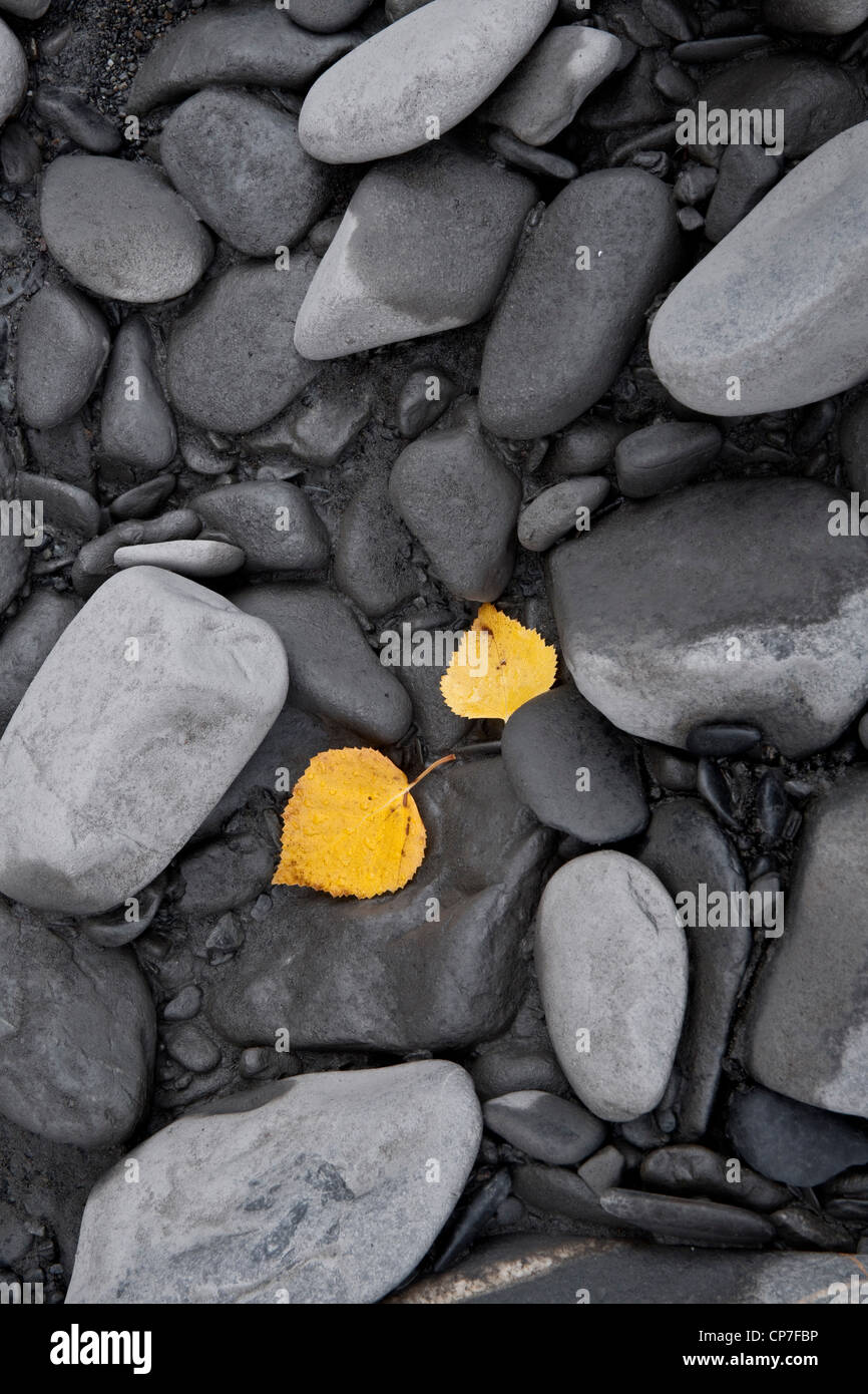 Grey silt hi-res stock photography and images - Alamy