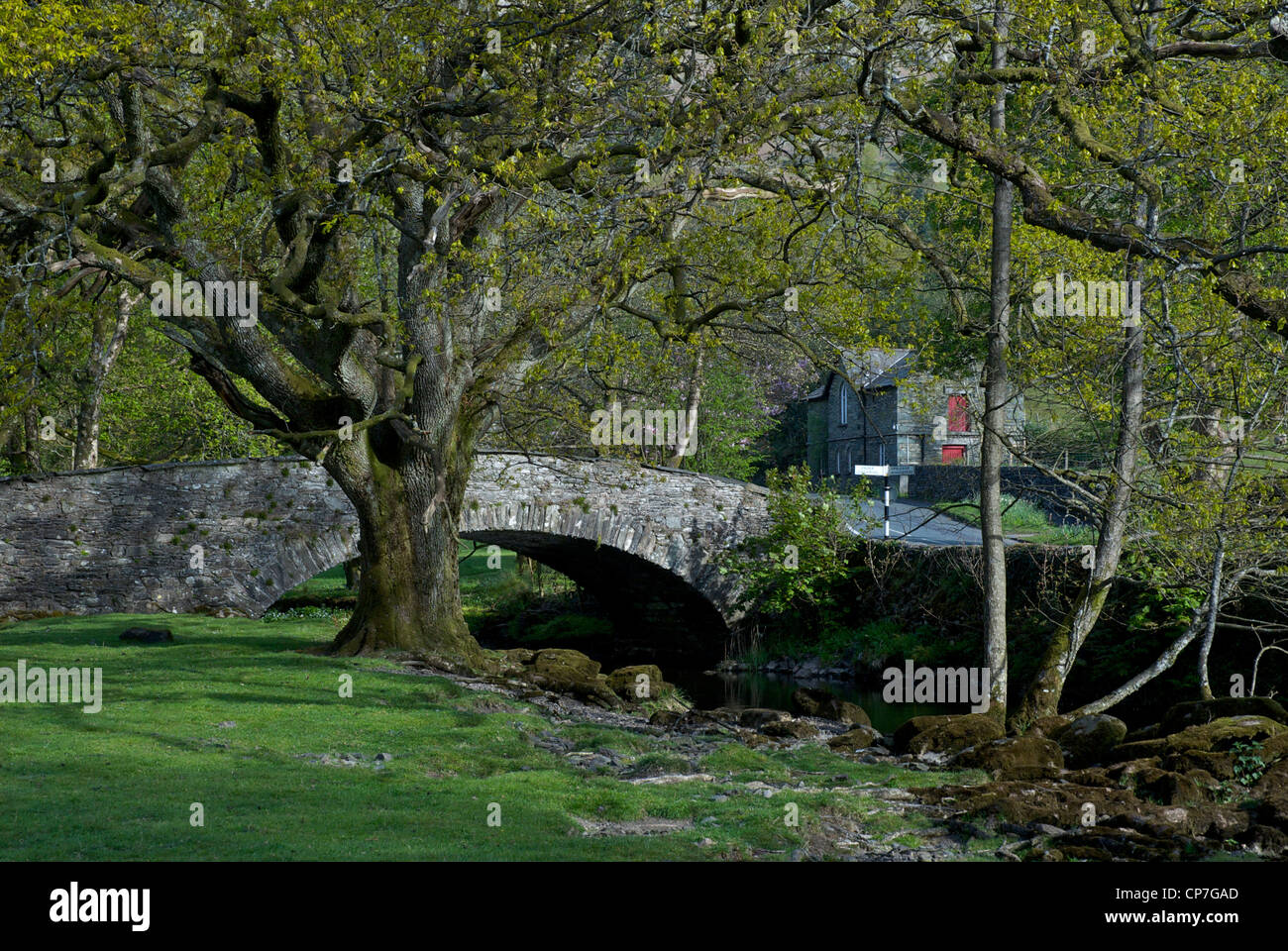 Pelter Bridge over the River Rothay, Rydal, Lake District National Park ...