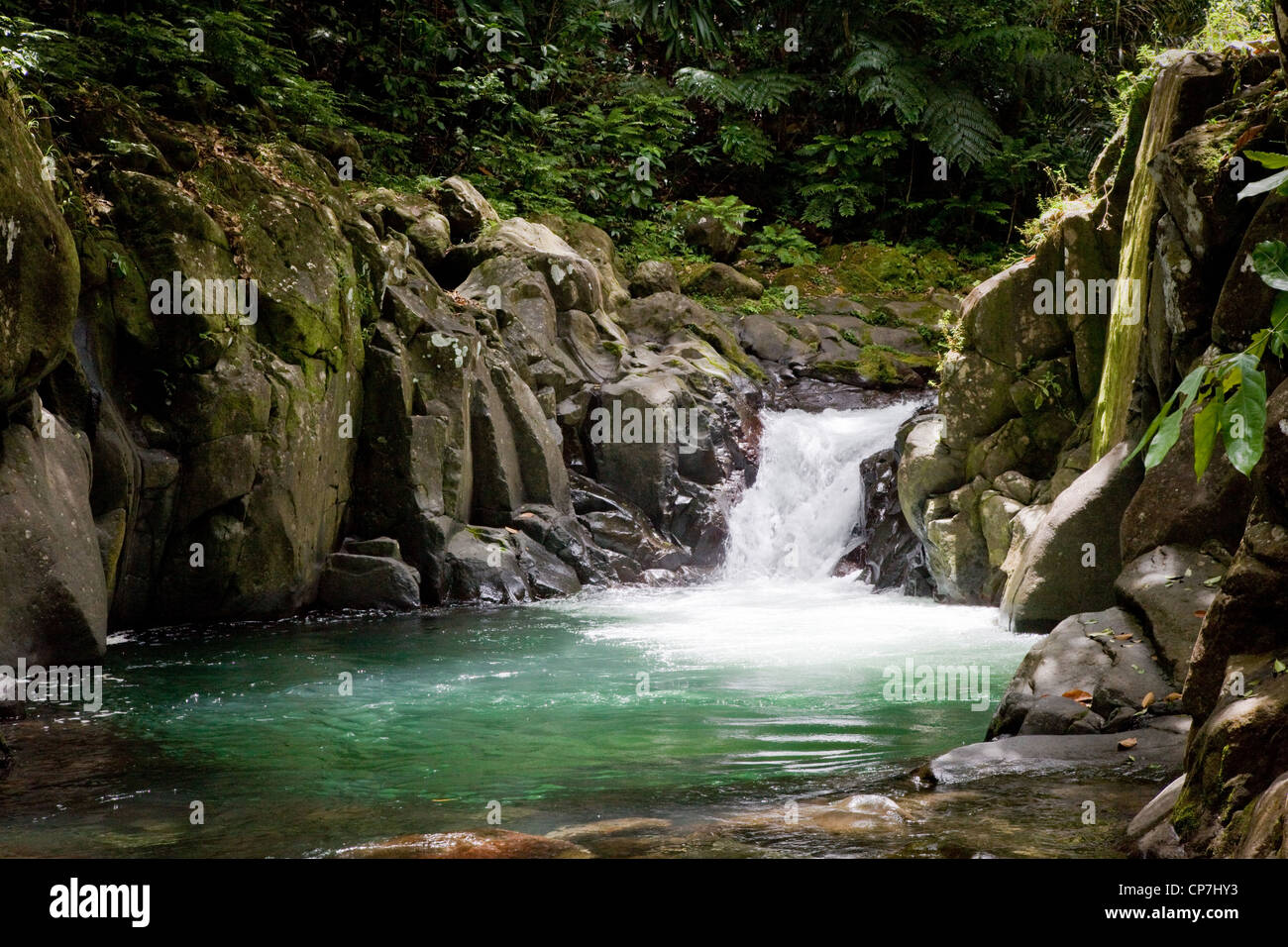 La Chaudiere Pool in northern Dominica near Morne Diablotin Stock Photo ...