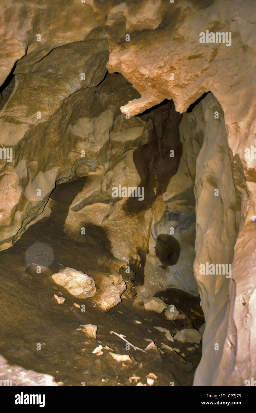 Limestone cave, Laos Stock Photo - Alamy