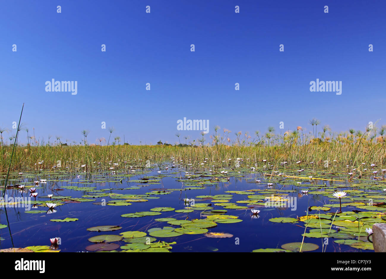 Botswana okavango delta tour hi-res stock photography and images - Alamy