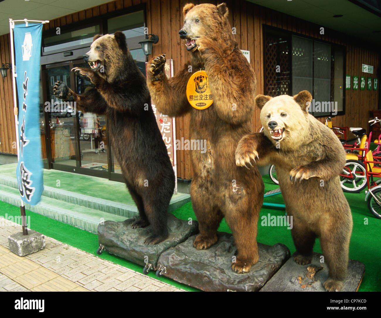 Japan, Hokkaido, Onuma Quasi-National Park, stuffed bears Stock Photo ...
