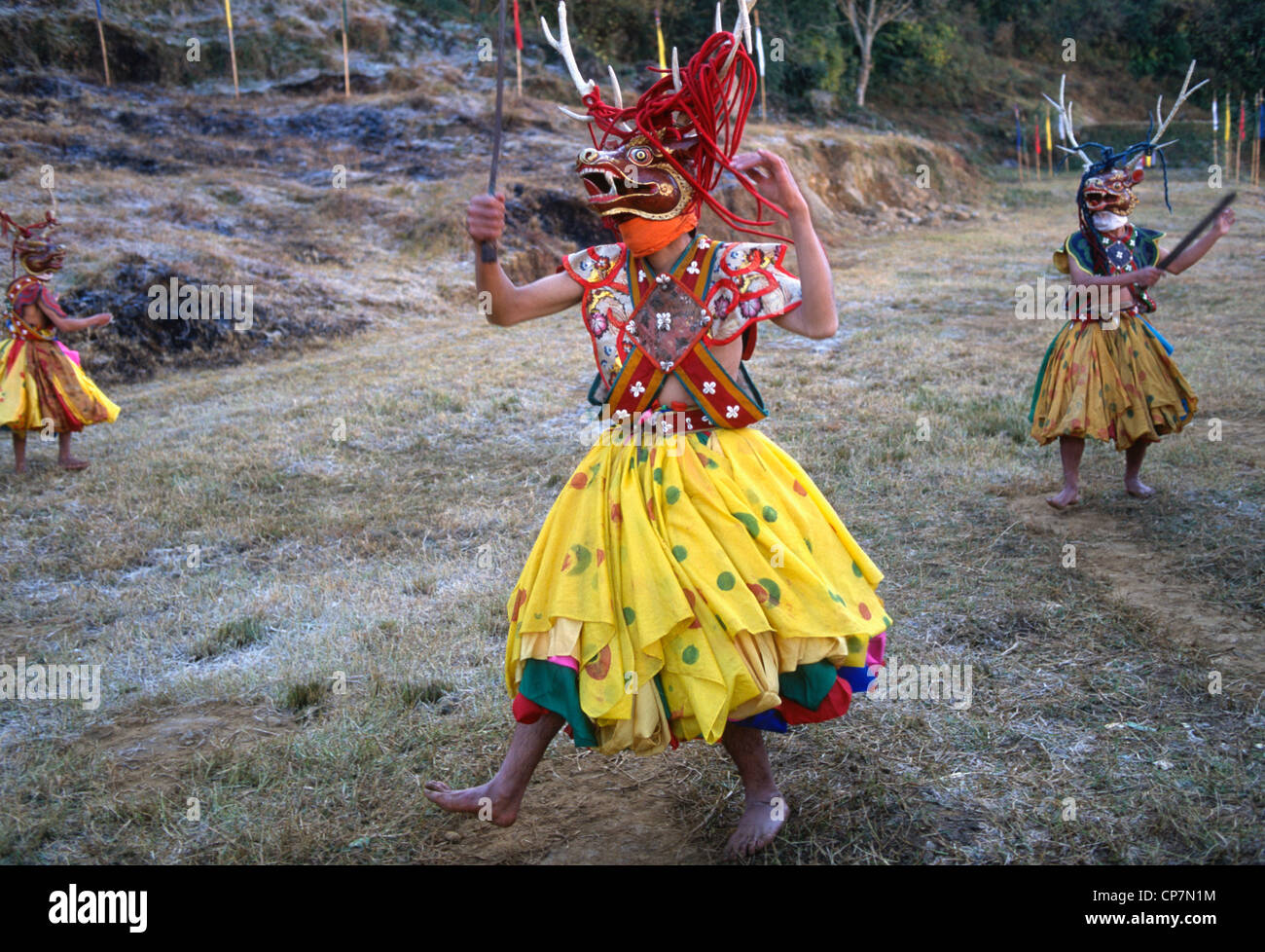 Stag dance hi-res stock photography and images - Alamy