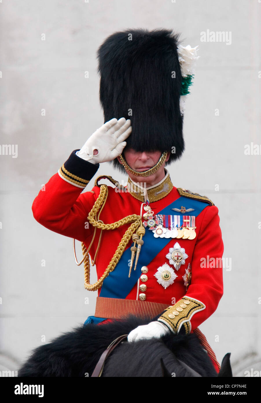 His Royal Highness Prince Charles, the Prince of Wales and Duke of ...