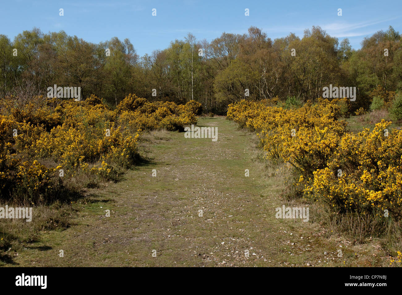 At mousehold heath hi-res stock photography and images - Alamy
