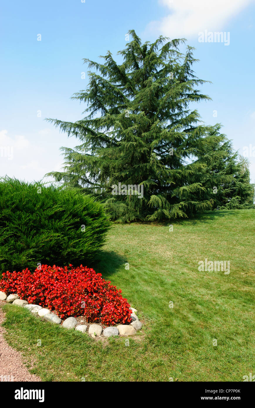 garden with lawn flower and trees Stock Photo - Alamy