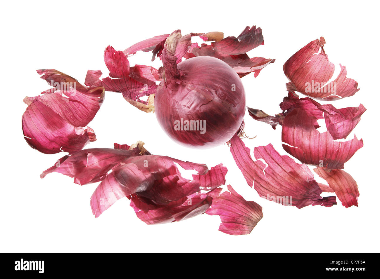 Onion skin hi-res stock photography and images - Alamy