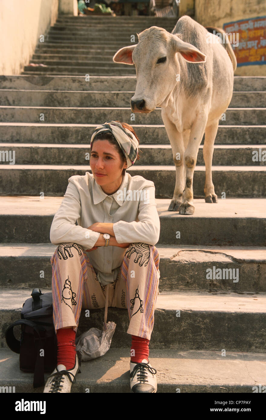India; Uttaranchal, Rishikesh, western tourist, sacred cow Stock Photo ...
