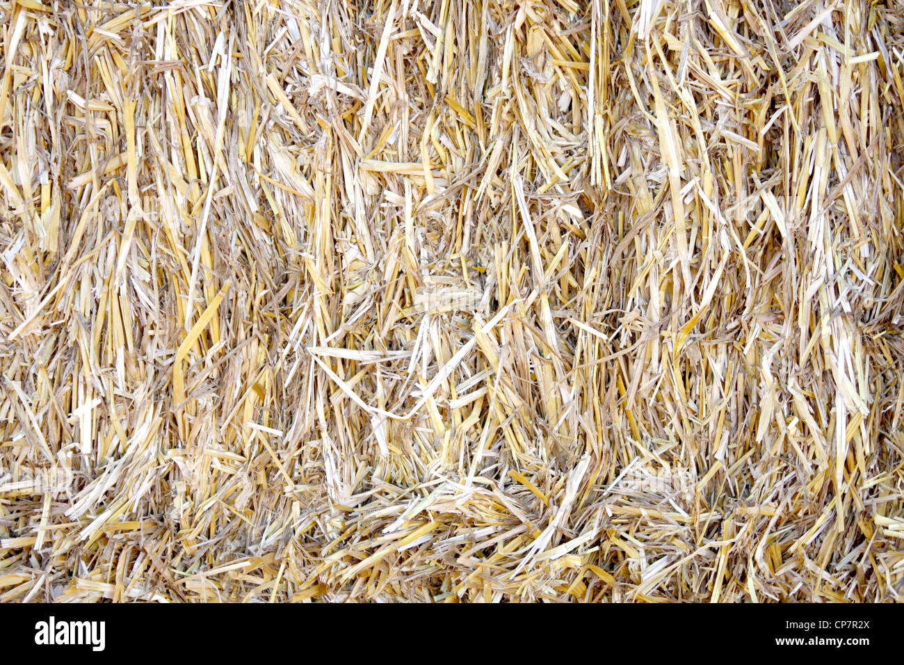 A close up of a bale of straw Stock Photo - Alamy