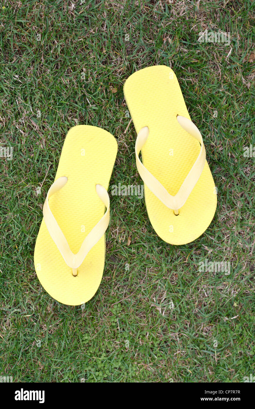 Slippers on the green grass Stock Photo - Alamy