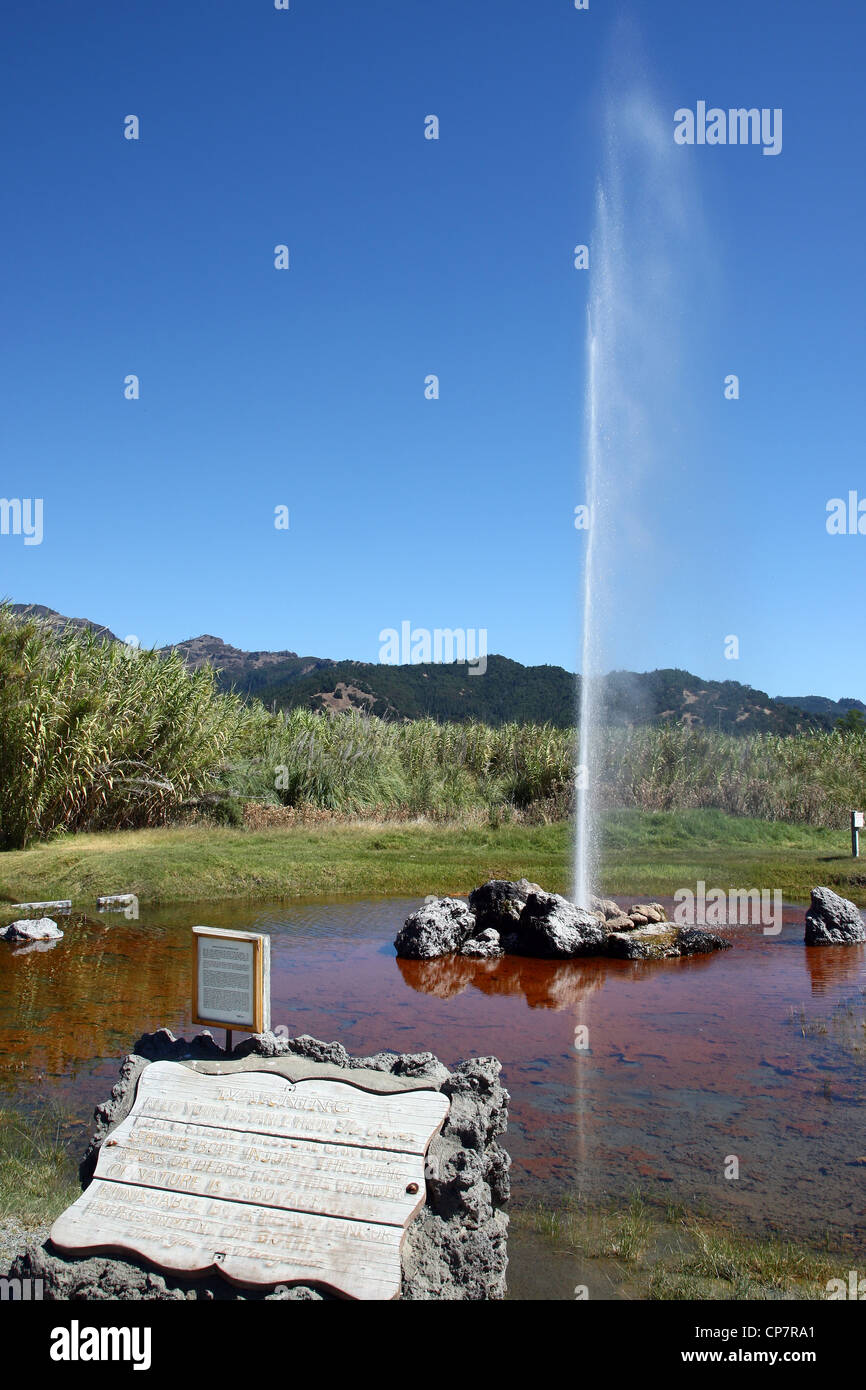 OLD FAITHFUL GEYSER OF CALIFORNIA GEYSER 06 October 2011 Stock Photo ...