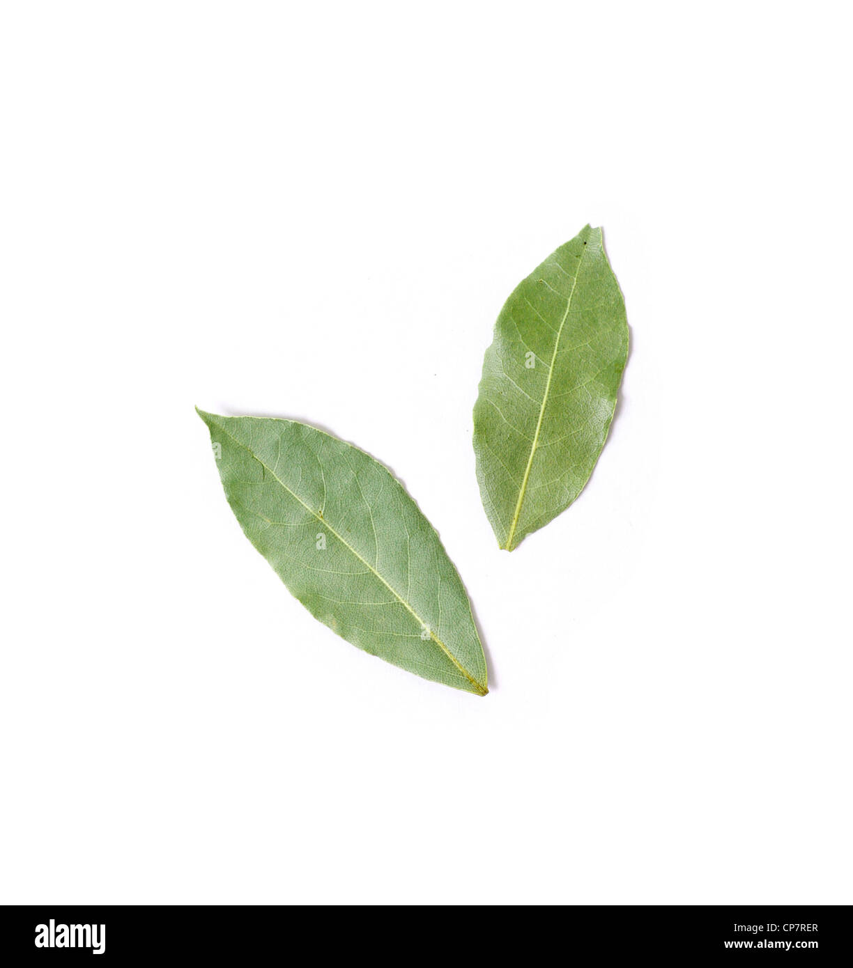 Isolated bay leaves on a white background Stock Photo - Alamy