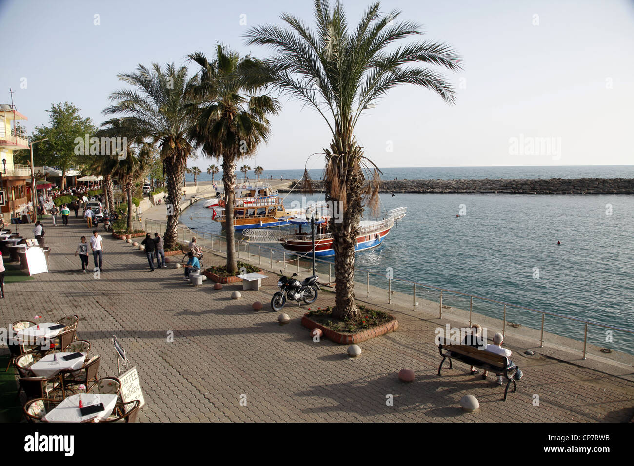 Side turkey hi-res stock photography and images - Alamy