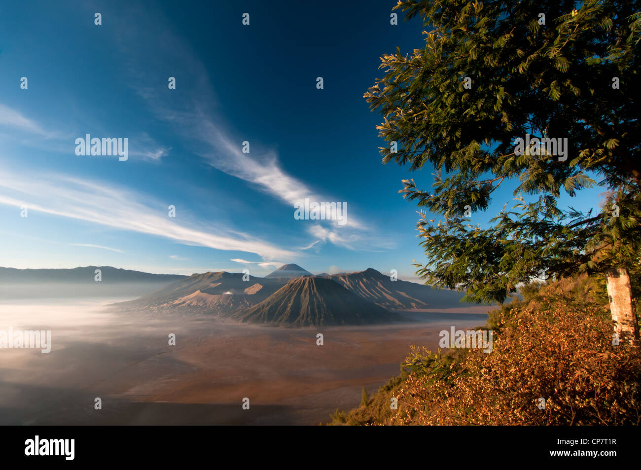 Gunung Bromo Volcano on Java Island in Indonesia Stock Photo - Alamy