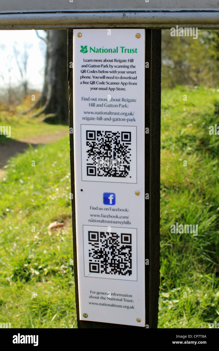 On the Pilgrims Way at Reigate Hill, part of the North Downs in Surrey ...