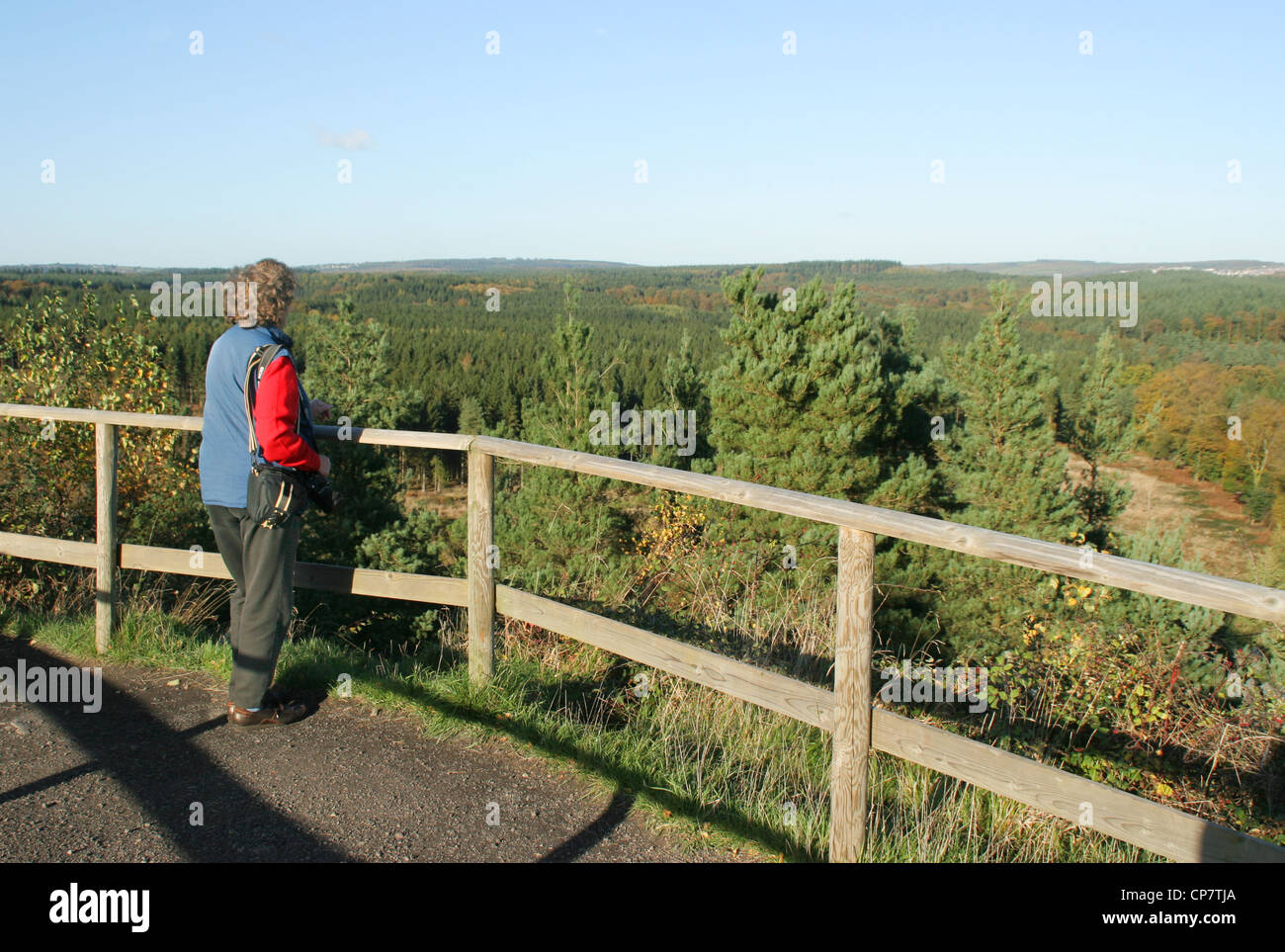 New Fancy Viewpoint Forest of Dean Gloucestershire England UK Stock ...