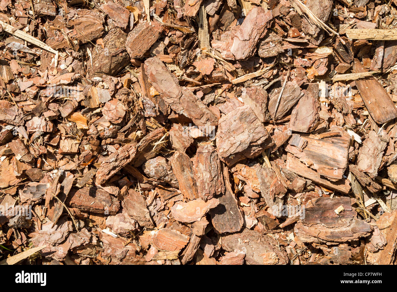 Bark forest Shred background Stock Photo - Alamy