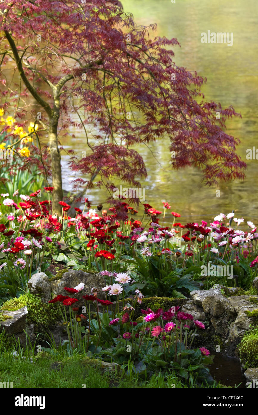 Waterside flowers hi-res stock photography and images - Alamy