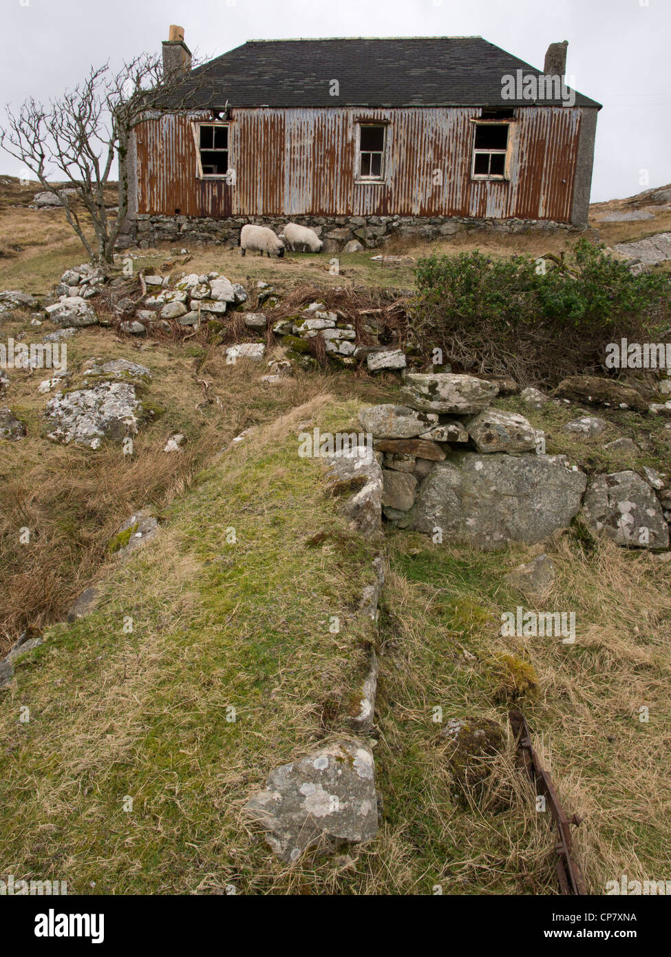 Abandoned Croft House, Isle of Scalpay, Scotland Stock Photo - Alamy