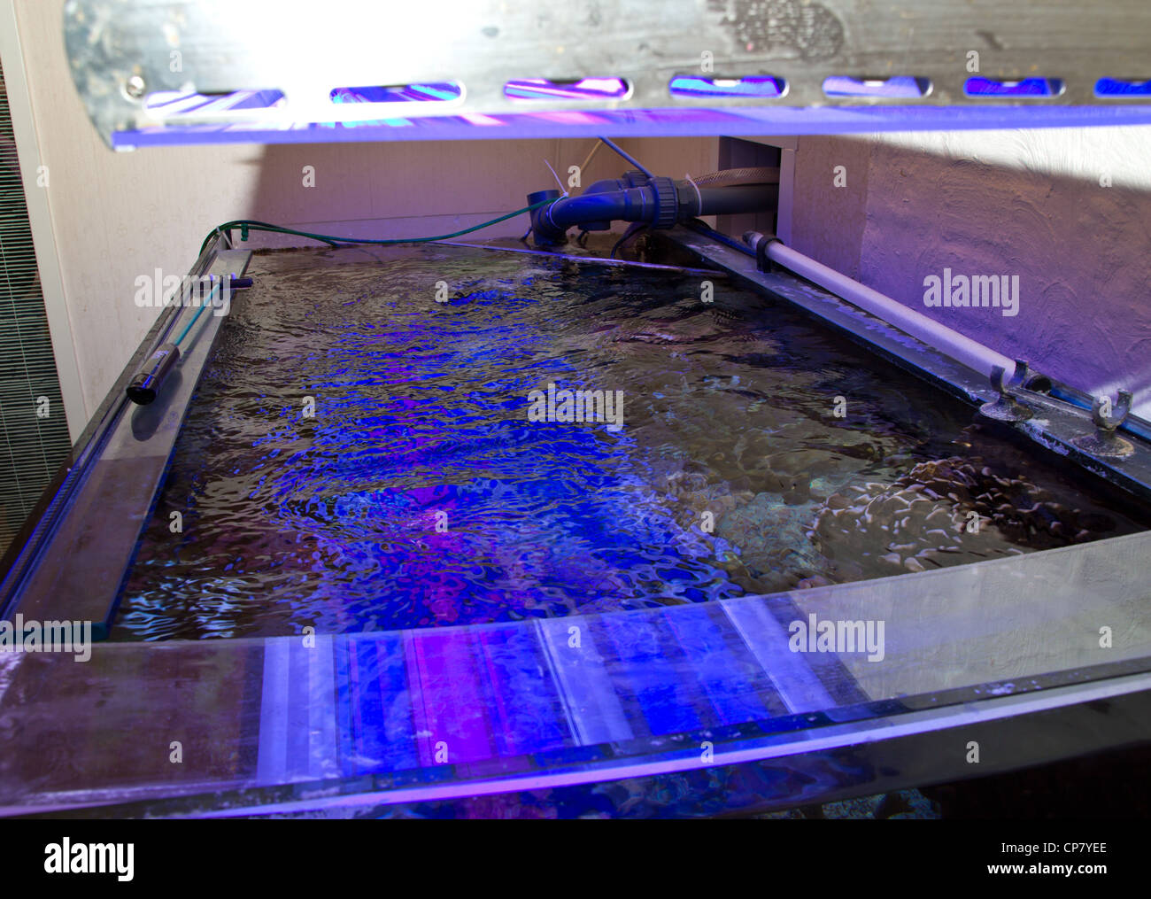 sea water tank Stock Photo - Alamy