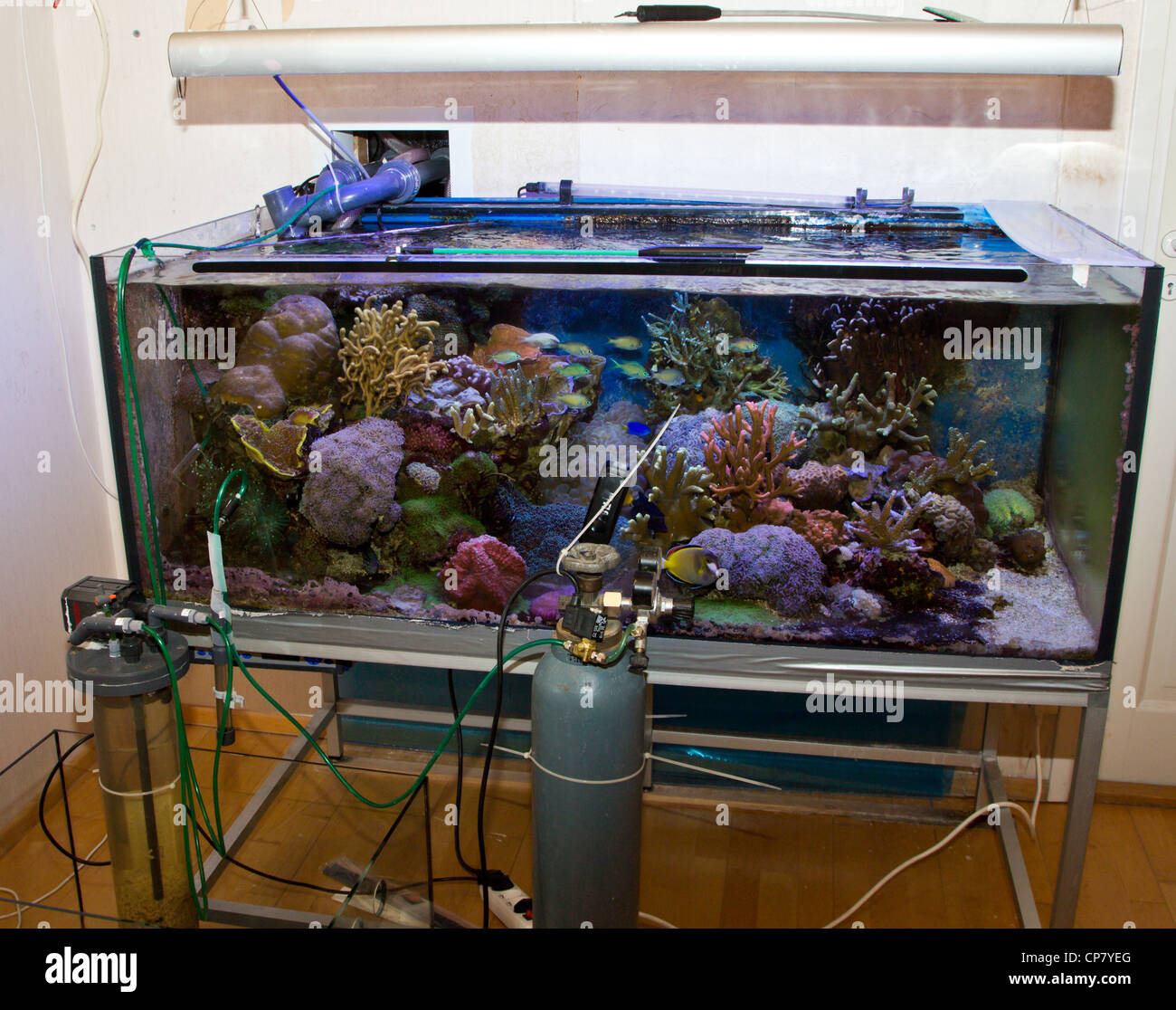 sea water tank Stock Photo - Alamy