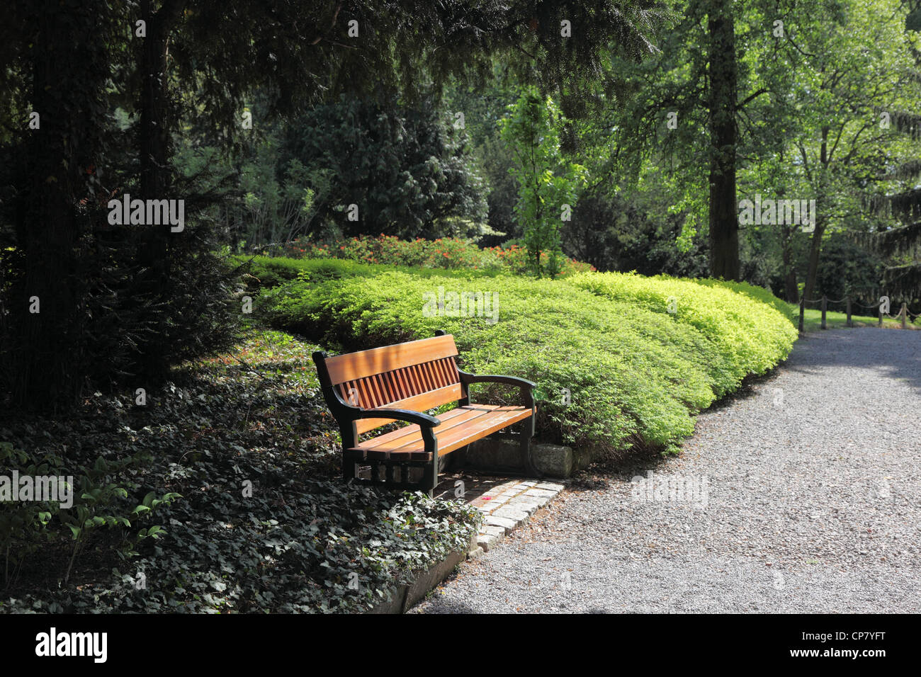 Bench in the Spring Park Stock Photo - Alamy
