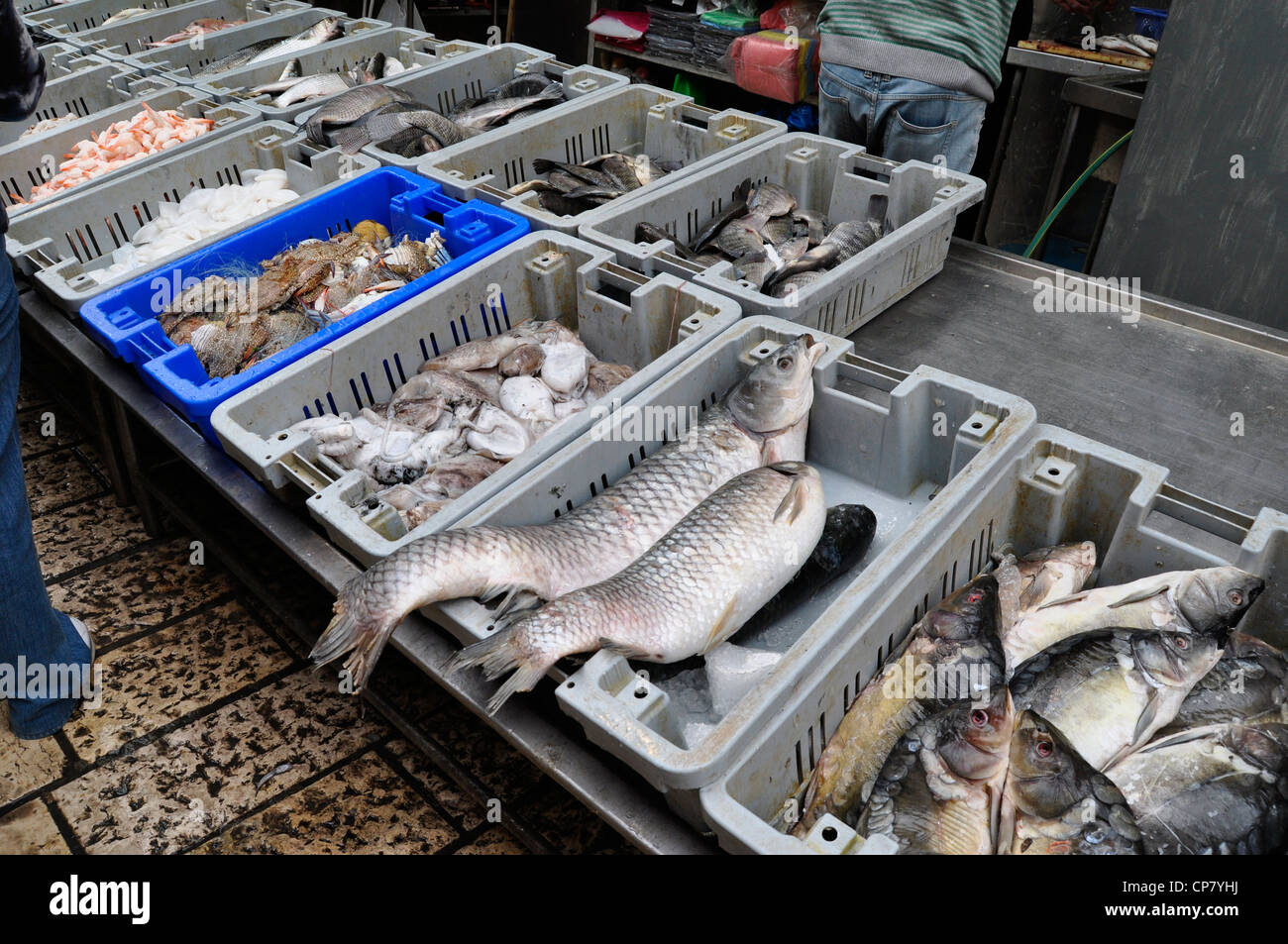 Fish israel market hi-res stock photography and images - Alamy