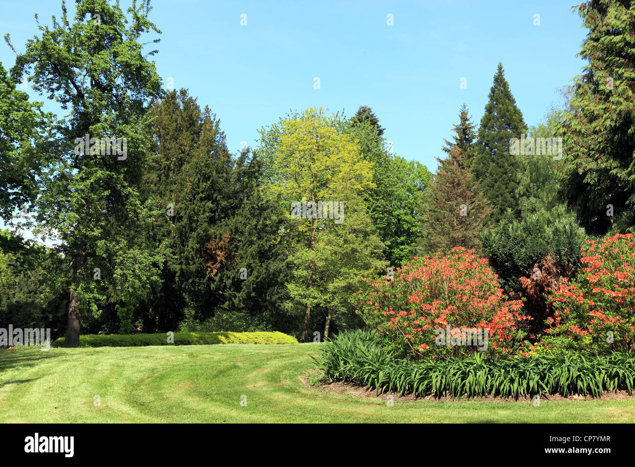 Meadow on the Arboretum in spring Stock Photo - Alamy