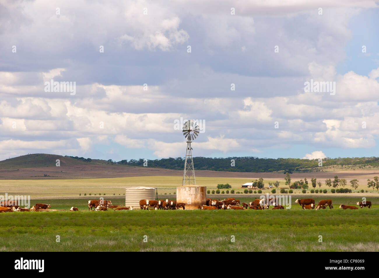 Yatina hi-res stock photography and images - Alamy