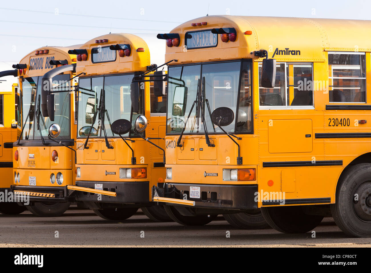 Usa school buses hi-res stock photography and images - Alamy