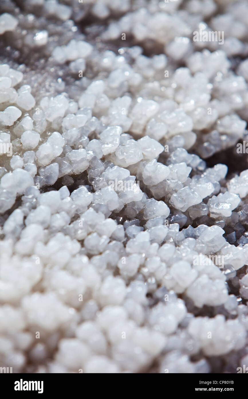 Salt deposits Dead Sea, Movenpick Resort Hotel, Jordan, Western Asia ...