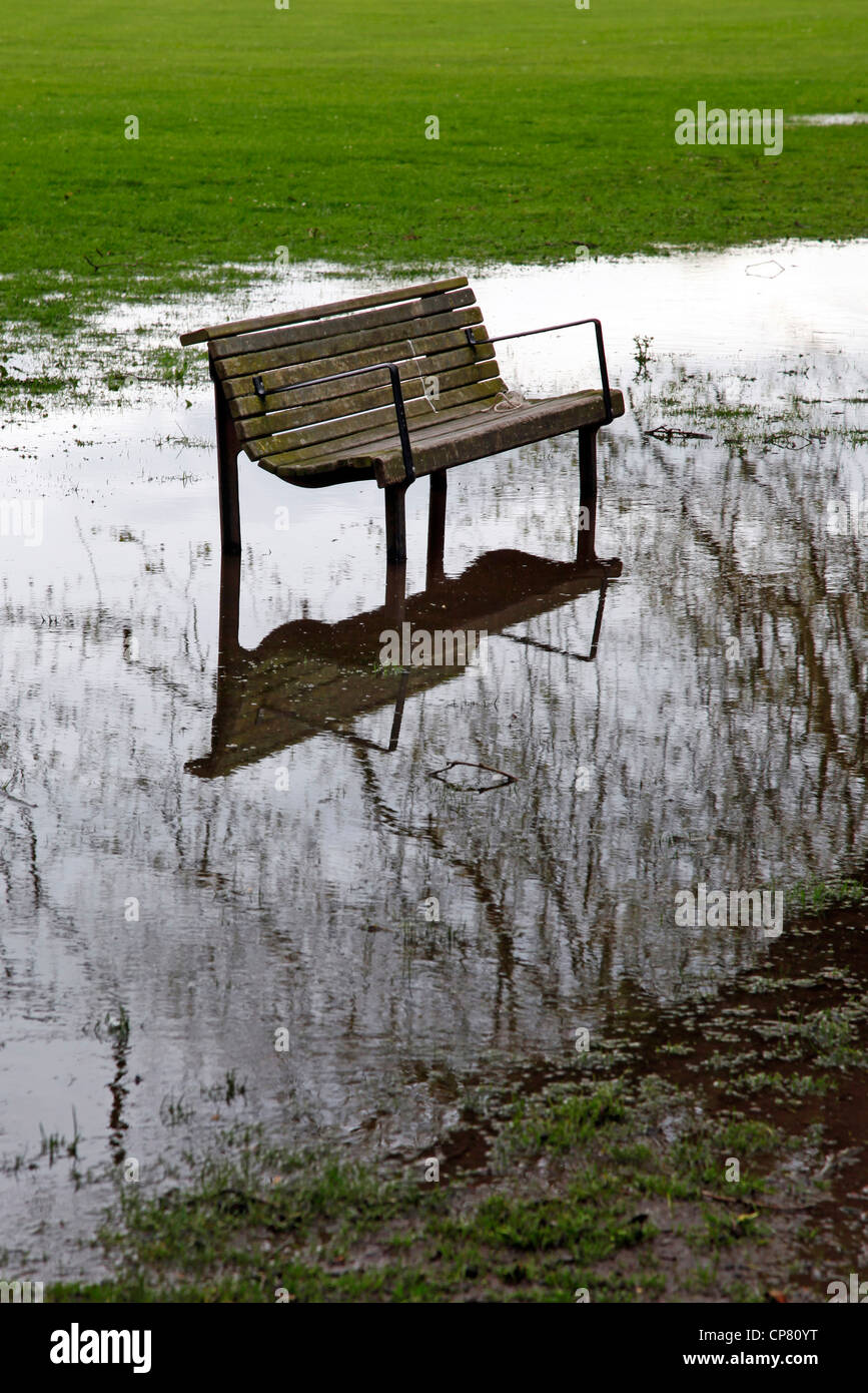 Empty wooden bench in flooded park with reflection of tree in water in ...