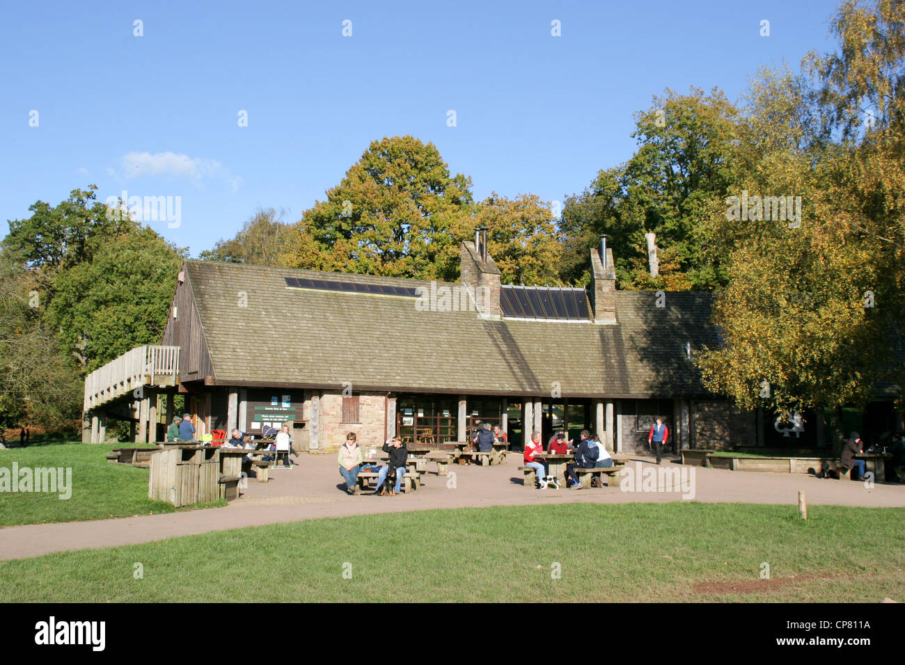 Beechenhurst Picnic Site Forest of Dean Gloucestershire England Stock ...