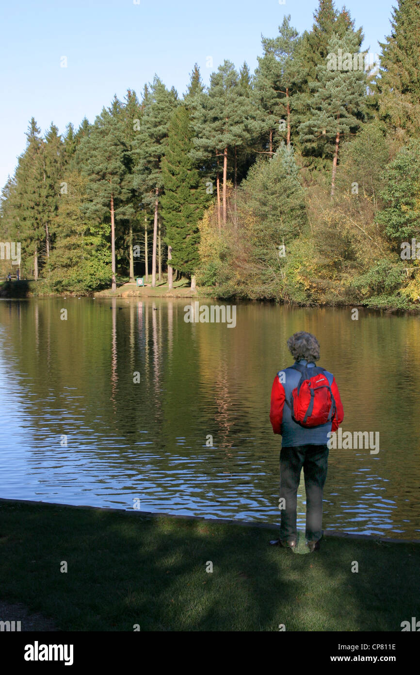 Mallards pike lake hi-res stock photography and images - Alamy
